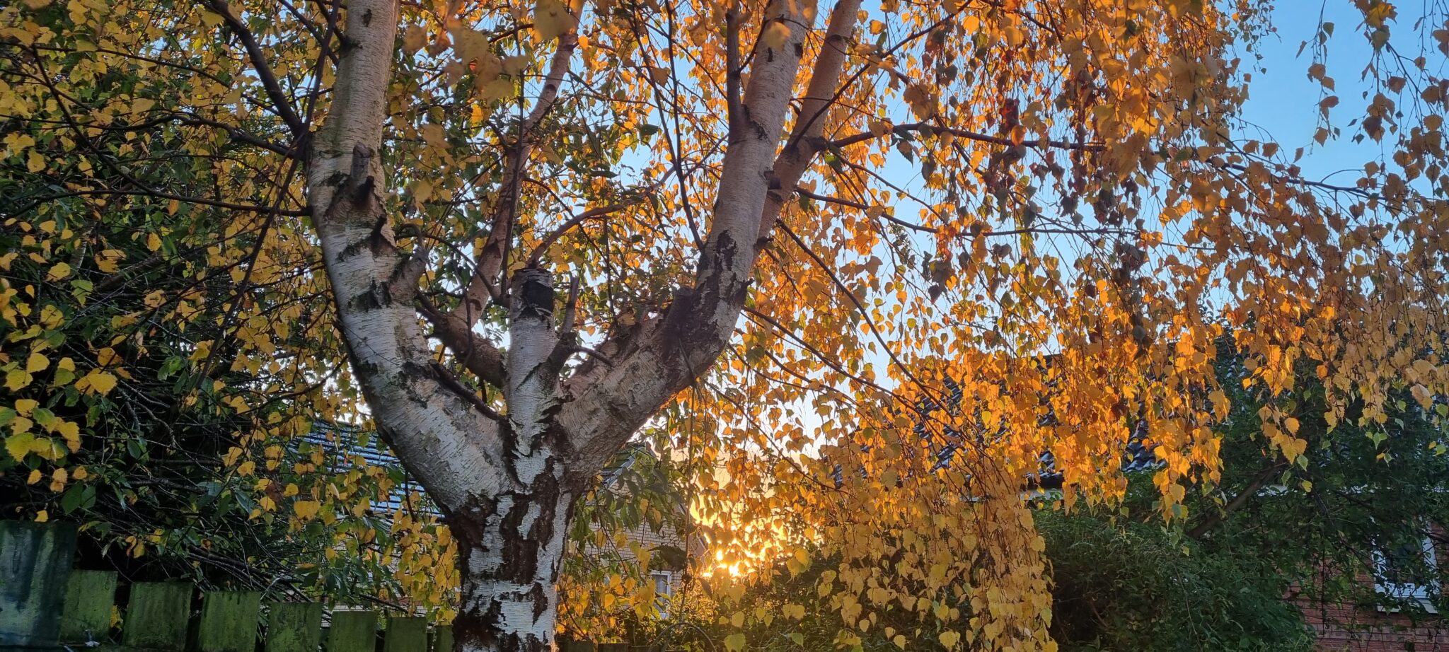 Confirmation of Death – Care Homes