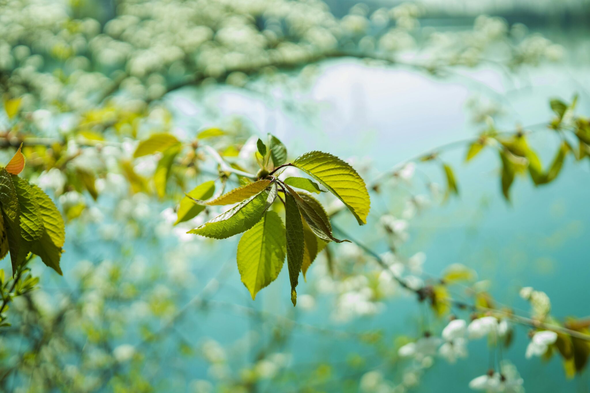Palliative and End-of-Life Care Training – Care Homes