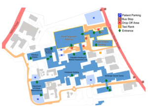 Inpatient Services – Medicine of the Elderly