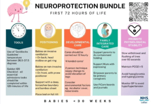 IVH Neuroprotection Bundle – Neonatal Unit